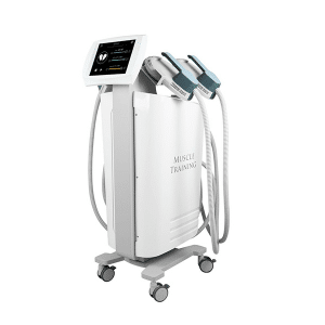 ODM/OEM HOME USE EMS body sculpting machine - VIVA Concept Technology